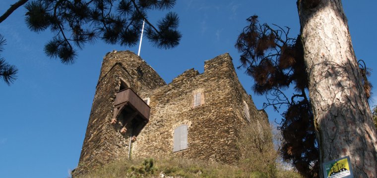 Burg Nollig | Lorch am Rhein